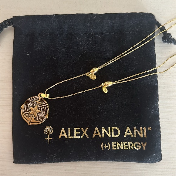 Alex and Ani | Jewelry | Alex And Ani Anchor Necklace | Poshmark